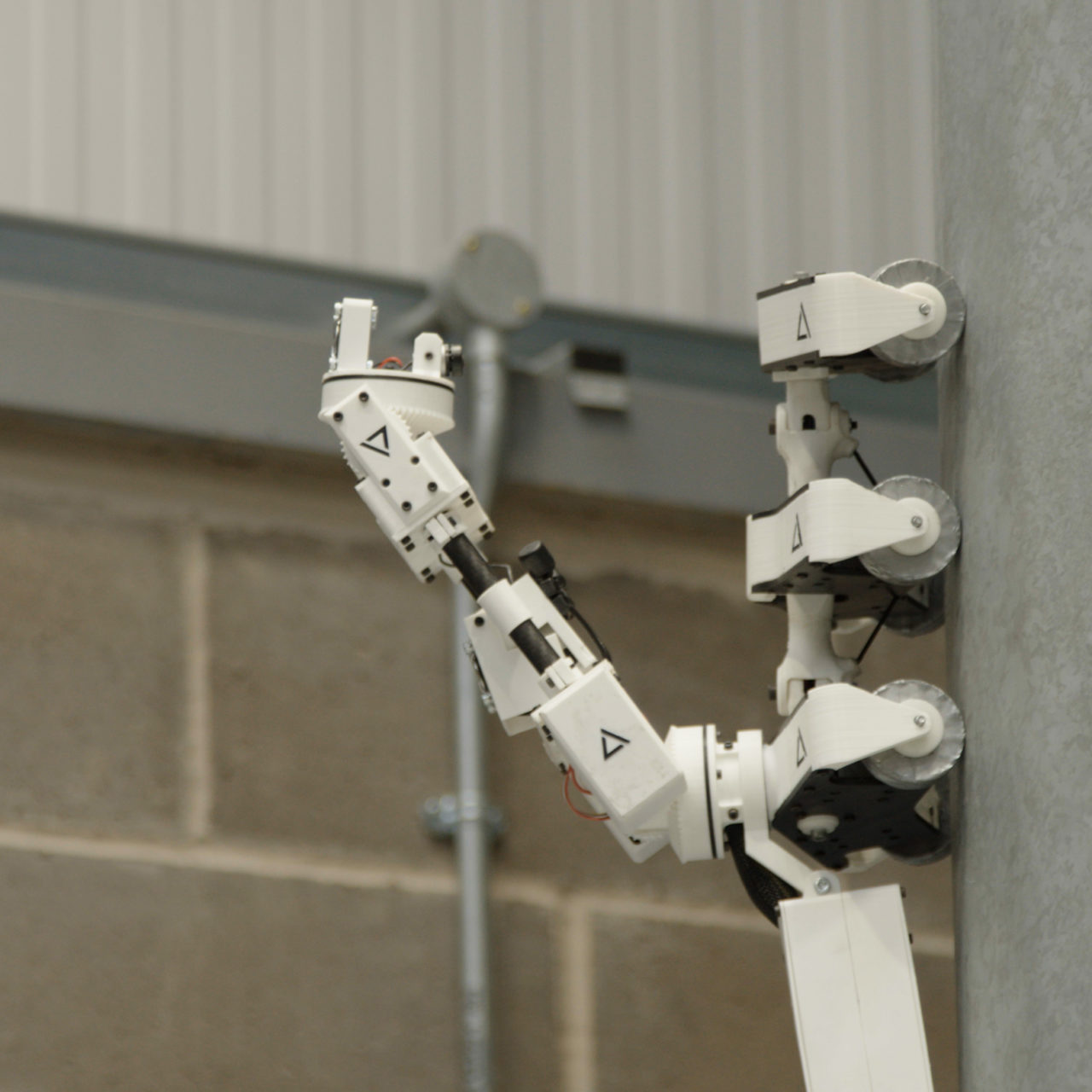 Squirrel - Acuity Robotics