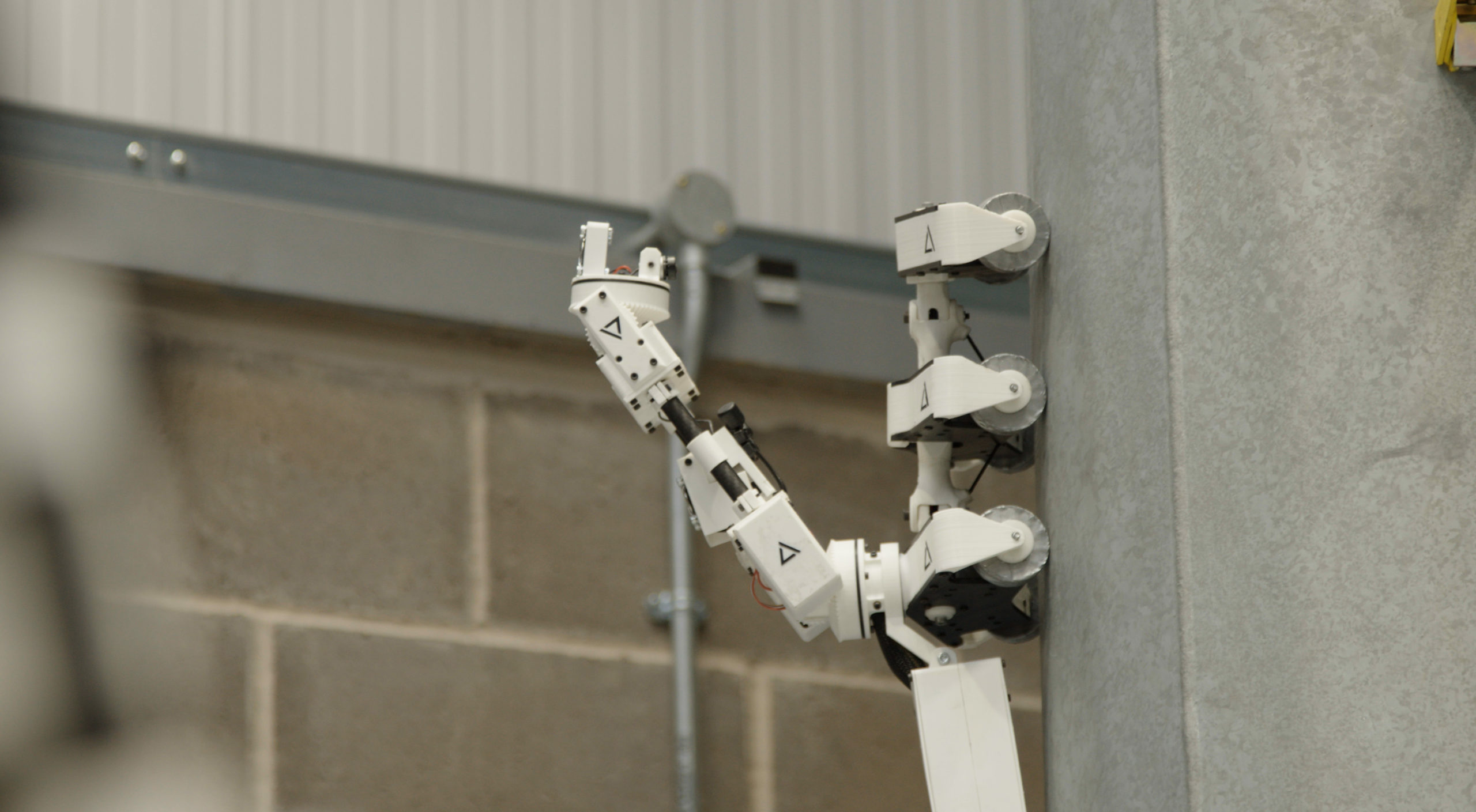 Squirrel - Acuity Robotics