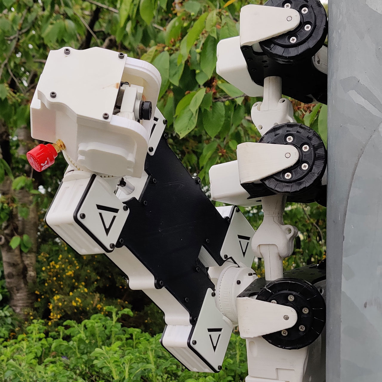 Squirrel - Acuity Robotics
